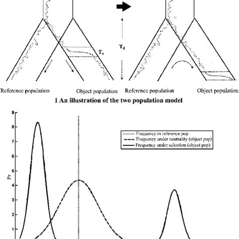 Top Panel Illustration Of The Two Population Model A The Two