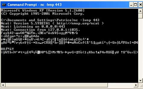 Matt Wk 2 Practical Basic Dynamic Analysis Noted