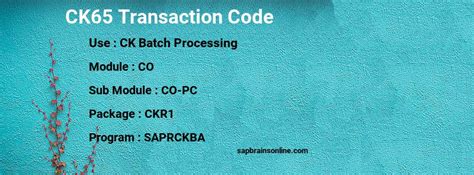 CK SAP Tcode For CK Batch Processing