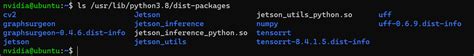 importerror cannot import name videosource from jetson utils