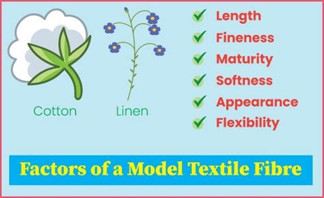 Fibre Vs Yarn Vs Fabric Find The Differences Textile Apex