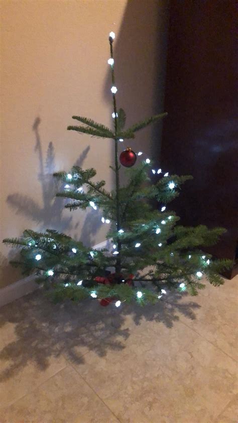 My Folks Switched To An Artificial Tree This Year So I Bought Myself A Real One R Pics