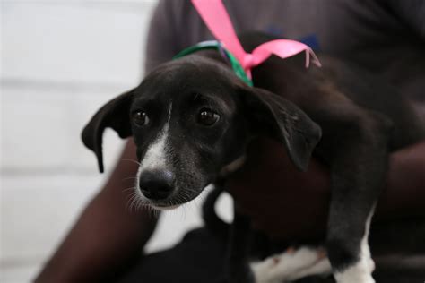 Embark Passion