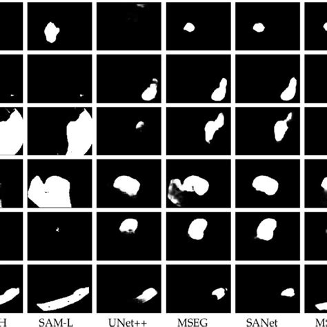 Some Failure Segmentation Examples Of SAM Download Scientific Diagram