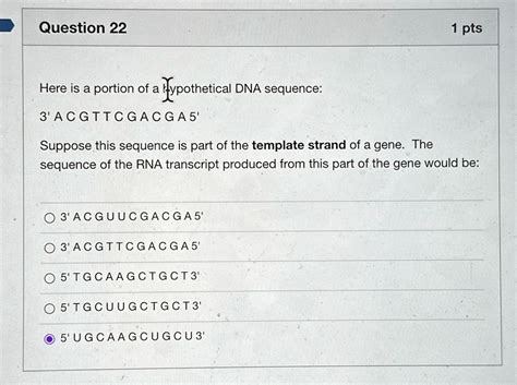 SOLVED Question Pts Here Is A Portion Of A Hypothetical DNA Sequence ACGTTCGACGA
