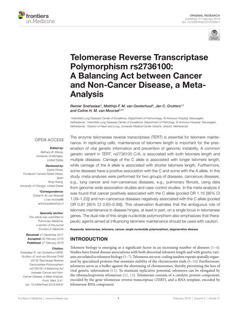Pdf Telomerase Reverse Transcriptase Polymorphism Rs2736100 A Balancing Act Between Cancer