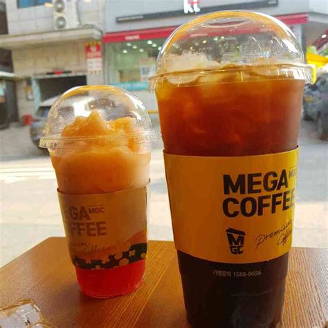 메가커피 쌍문점 쌍문 커피 마끼아또 맛집 다이닝코드 빅데이터 맛집검색