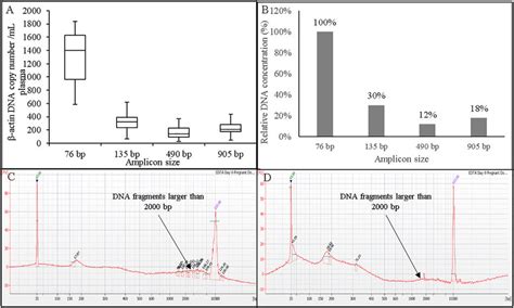 Fragment Size Distribution Analysis Of Human Pregnant Donor Plasma