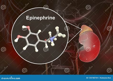 Epinephrine Ati Template