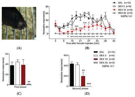 Effect Of Dexmedetomidine Dex In The Orofacial Formalin Test In Mice Download Scientific