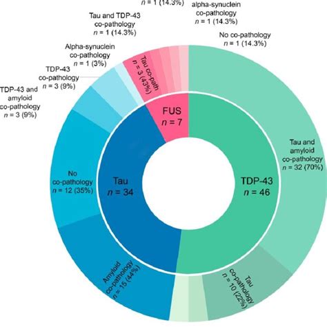 Overview Of Concomitant Pathologies Across Ftld Pathological Subtypes