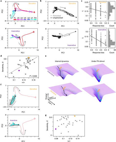 Characterization Of Neural Dynamics For Different Choice Behaviors A