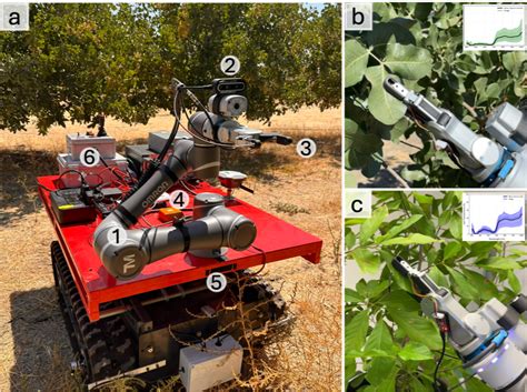 논문 리뷰 Romu4o A Robotic Manipulation Unit For Orchard Operations Automating Proximal