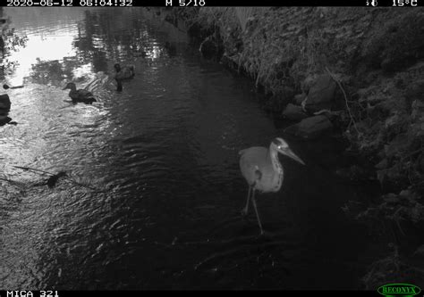 Best Practices For Managing And Publishing Camera Trap Data