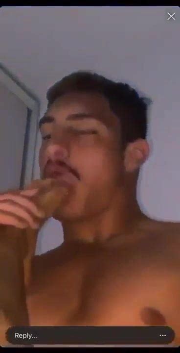 Katoni Stags Xhamster