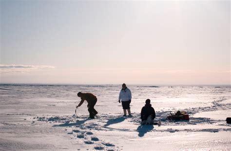 Recent Evidence On Selenoneine Highlights The Need To Consider Selenium Speciation In Research