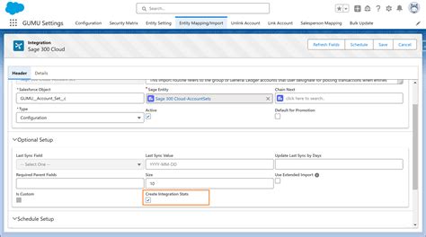 Gumus New Create Integration Stats Checkbox In The Entity Mapping