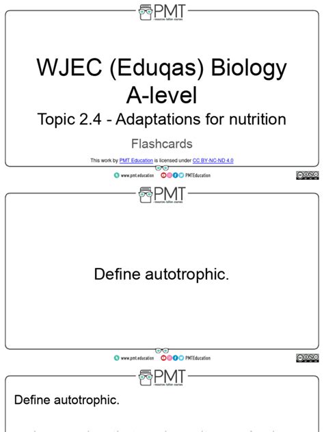 2 4 Nutrition Pdf Digestion Stomach