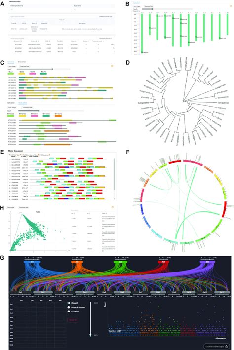 Downstream Analysis Modules At Genome Level A Basic Info Module The