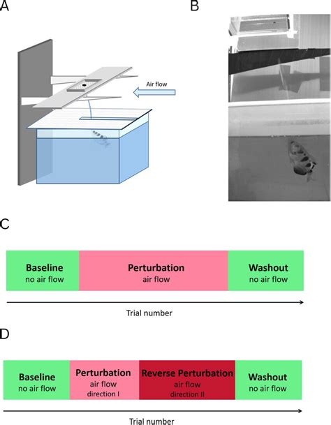 Schematic View Of The Experimental Setup A Water Tank With A Cover Download Scientific