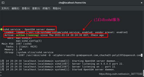 虚拟机 gitlab安装图文详情（史上最细！！史上最全！！） 空白虚拟机如何安装gitlab csdn博客