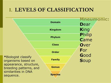I Levels Of Classification Ppt Download I Levels Of Classification Ppt Download