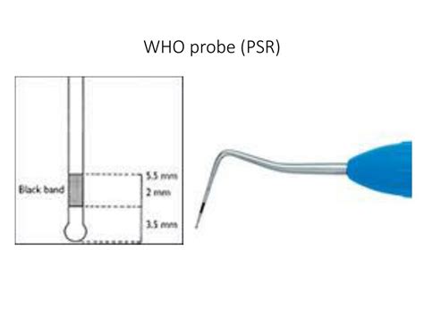 Ppt Assessment Instruments Explorers And Probes Powerpoint Presentation Id5324226