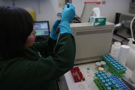 Gallery Environmental Response Remediation Testing