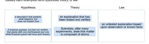 Solved Hypothesis Theory Law A Description That Predicts Chegg Com