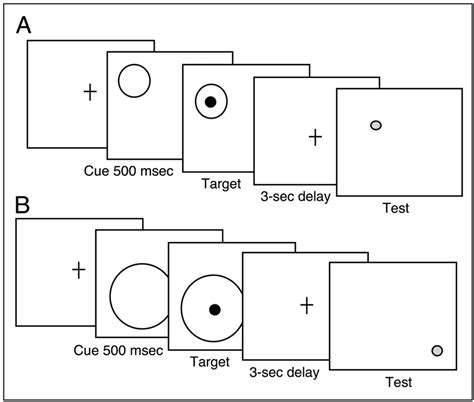 illustration of task manipulating the scale of visuospatial attention
