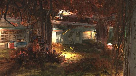 Where To Find And How To Farm For Melon Blossoms In Fallout 76