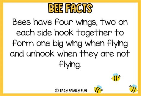 Buzzing With Knowledge Explore 65 Fascinating Facts About Bees