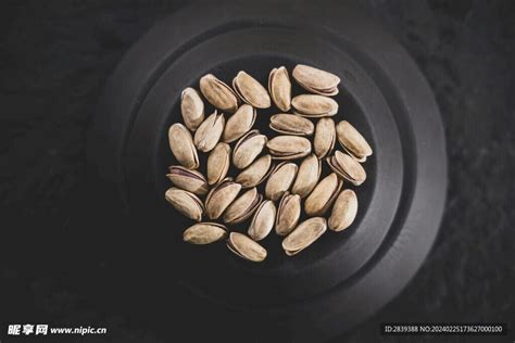 坚果摄影图其他生物生物世界摄影图库昵图网