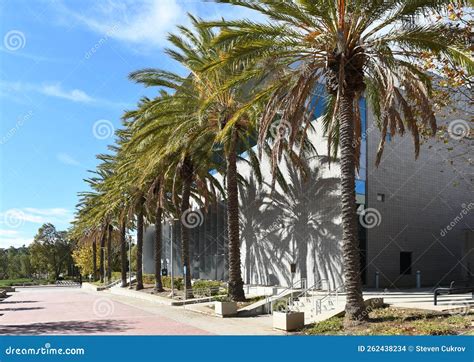 Orange California 25 Nov 2022 Row Of Palm Trees In Front Of The
