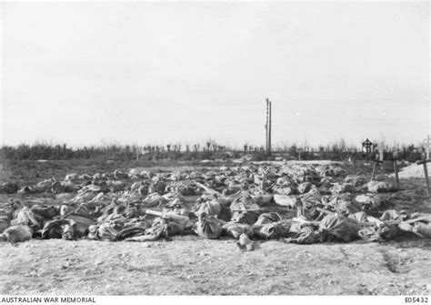 The Bodies Of Australian Soldiers Exhumed From The Battlefields