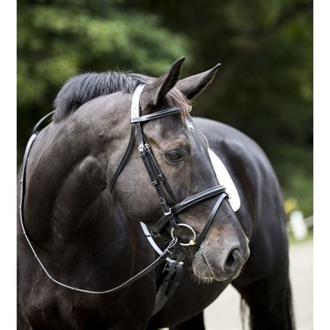 Davinci Raise Comfort Dressage Bridle Flash Statelinetack