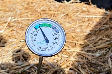 Compost Bins Open Vs Closed Page 2