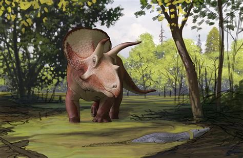 Borealosuchus Dinopedia Fandom