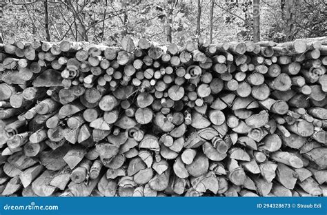 Stick Of Pieces Of Firewood Texture Stock Image Image Of Outdoor