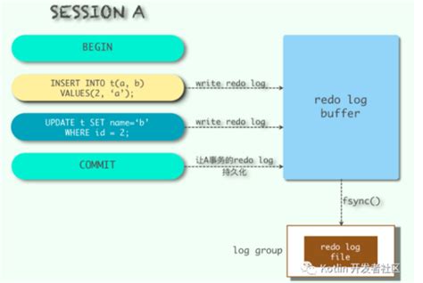 什么是redo log和undo log redolog和undolog的区别 CSDN博客