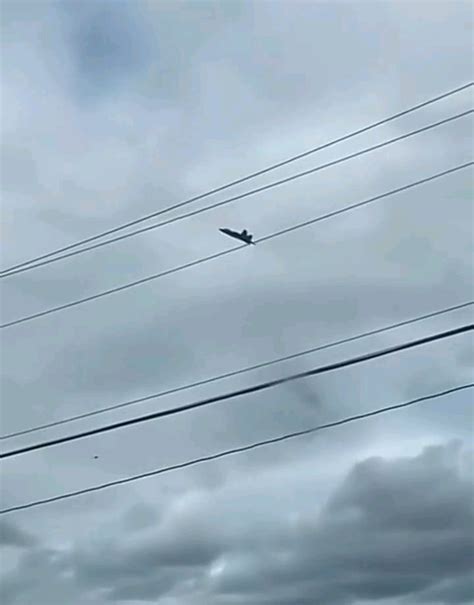 Powerful Braking Raviation