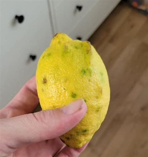 Lemon With Green Dots And Lumps R Foodsafety