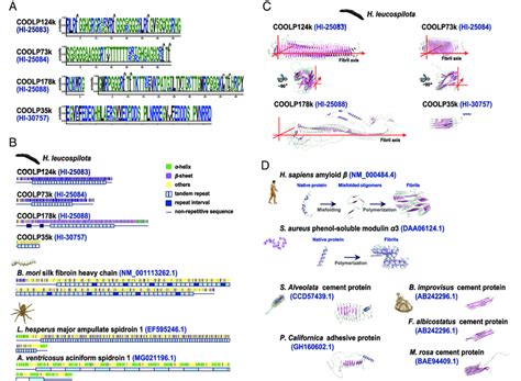 Amyloid Patterned Cuvierian Organ Outer Layer Proteins Coolps With