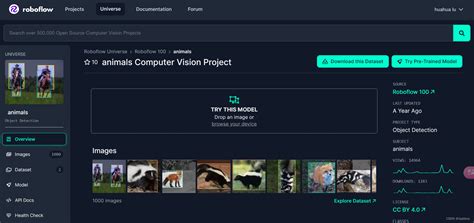 yolov8 roboflow公开数据集训练模型 roboflow数据集 csdn博客