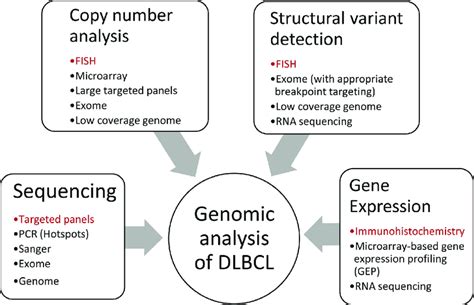 Analytical Techniques With Utility In DLBCL Molecular Characterisation Download Scientific