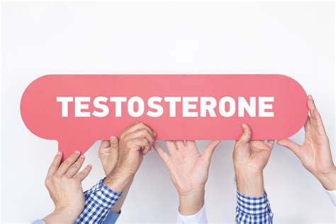 The Testosterone Effect Linking Hormonal Balance With Well Being