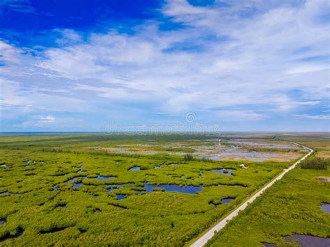 Aerial Photo Big Cypress National Preserve Florida Usa Stock Image