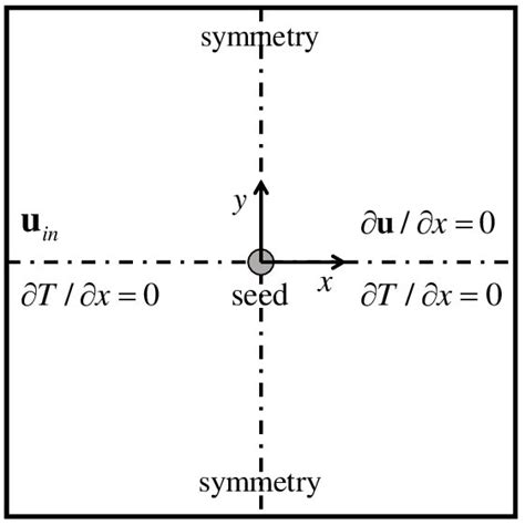 Initial And Boundary Conditions Of The Equiaxed Dendritic Growth With Download Scientific
