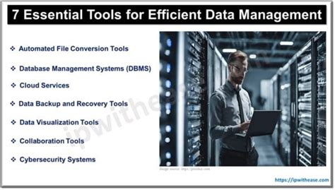 7 essential tools for efficient data management in it environments ip