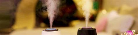 Humidifier Vs Diffuser At Norris Carrico Blog